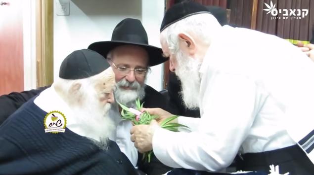 Marijuana Kosher for Passover | jewish philosophy place
