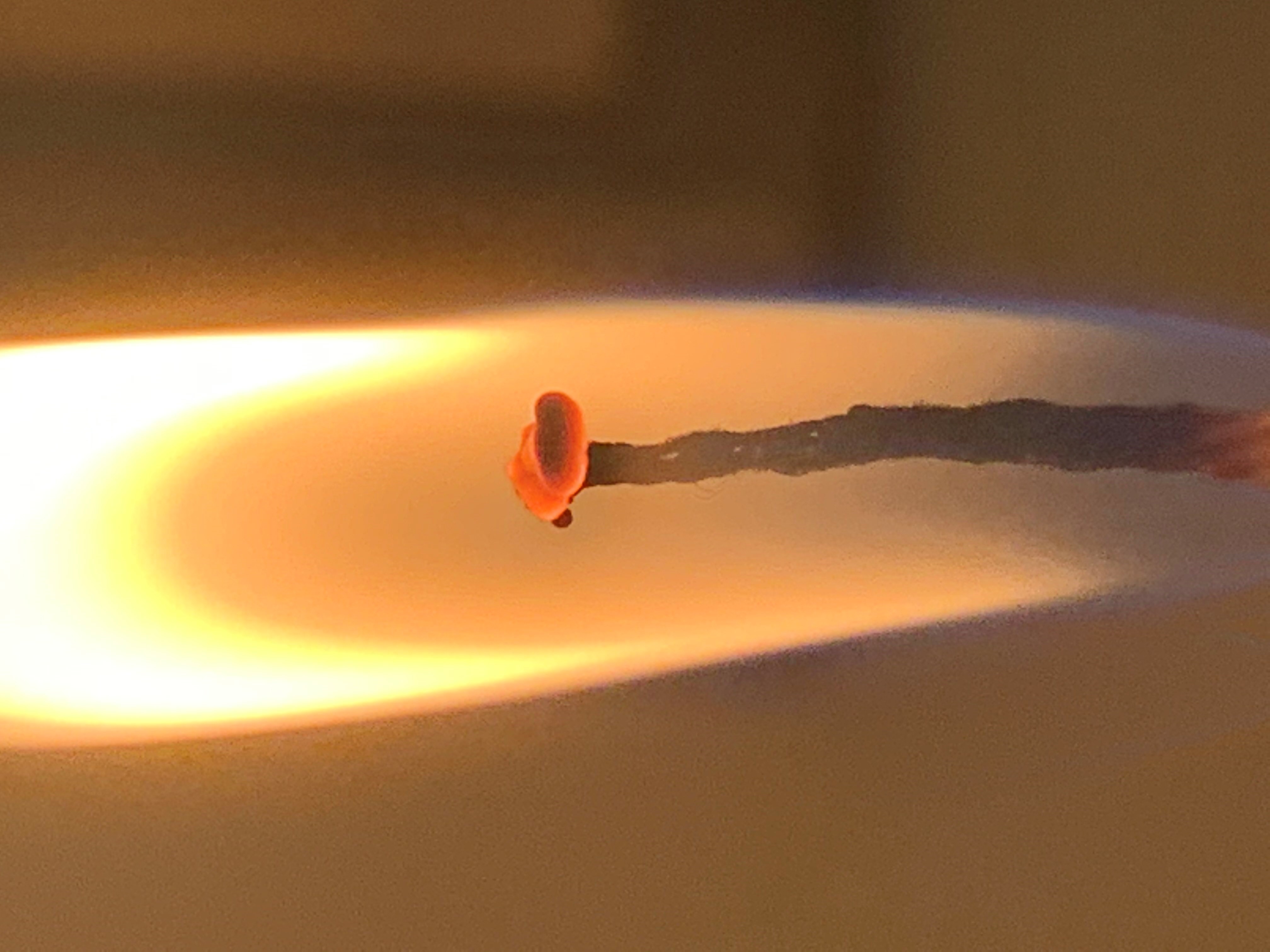 maya-candle | jewish philosophy place